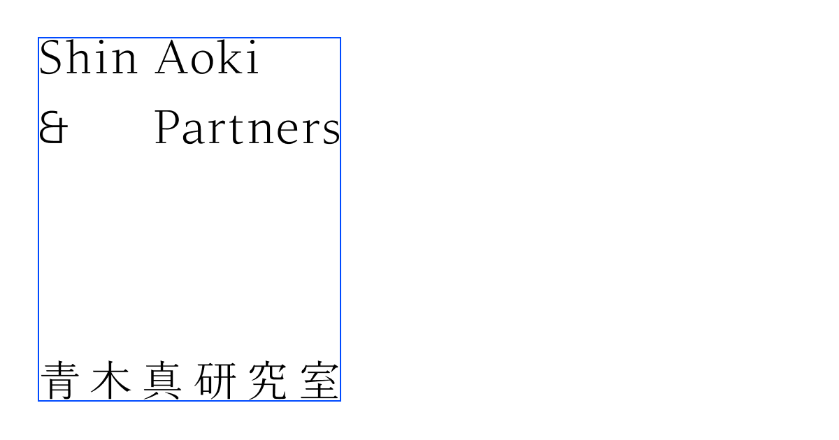 Shin Aoki & Partners | 青木真研究室